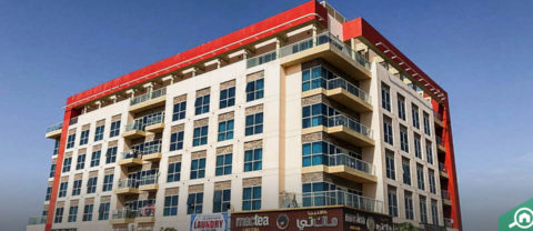 Al Basha 6 Building Guide | Bayut