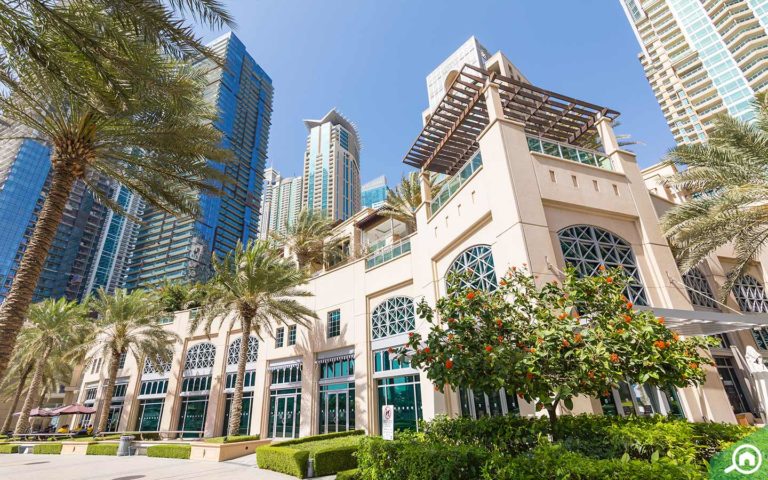 The Waves Tower A Guide | Bayut