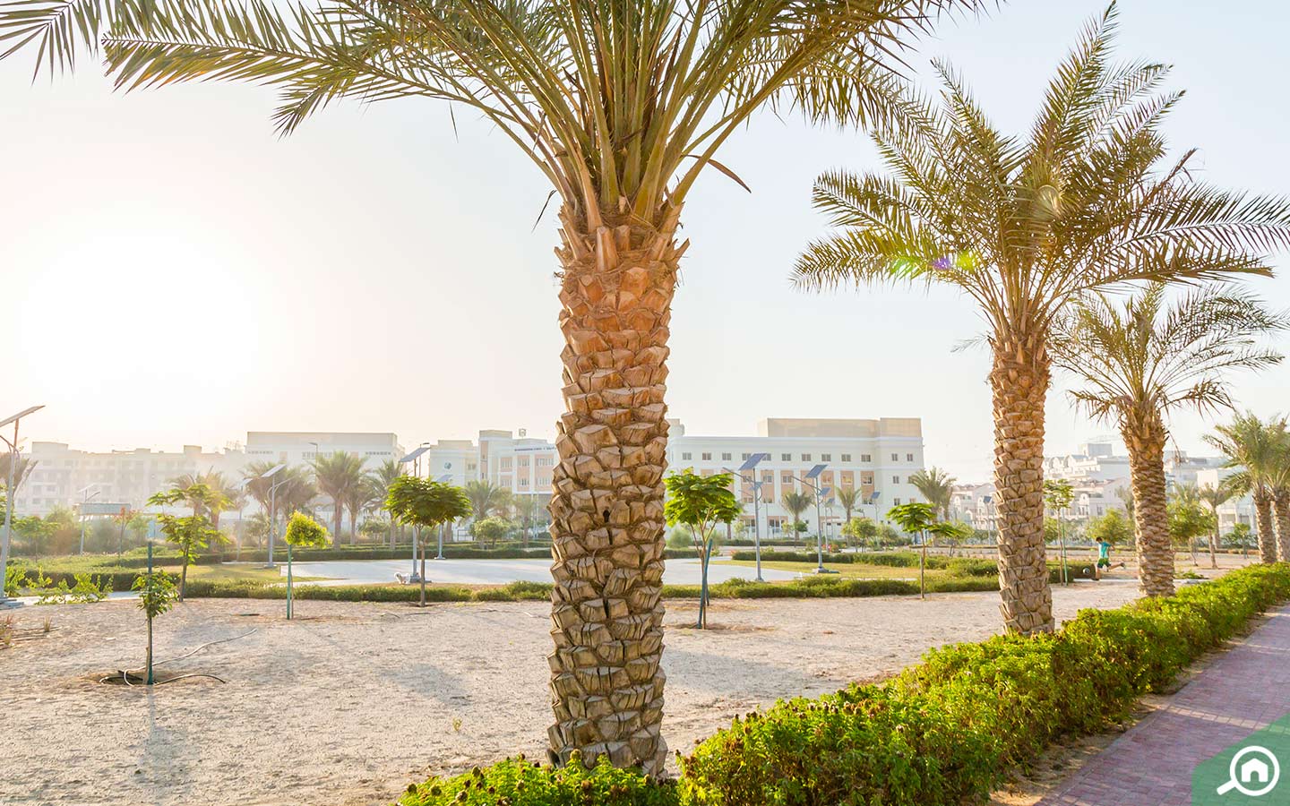 Al Dana Tower, JVC Guide | Bayut