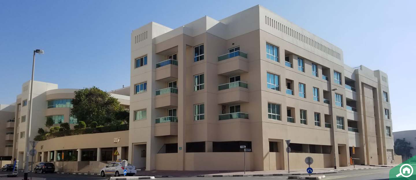 Al Wasl Block F Guide | Bayut