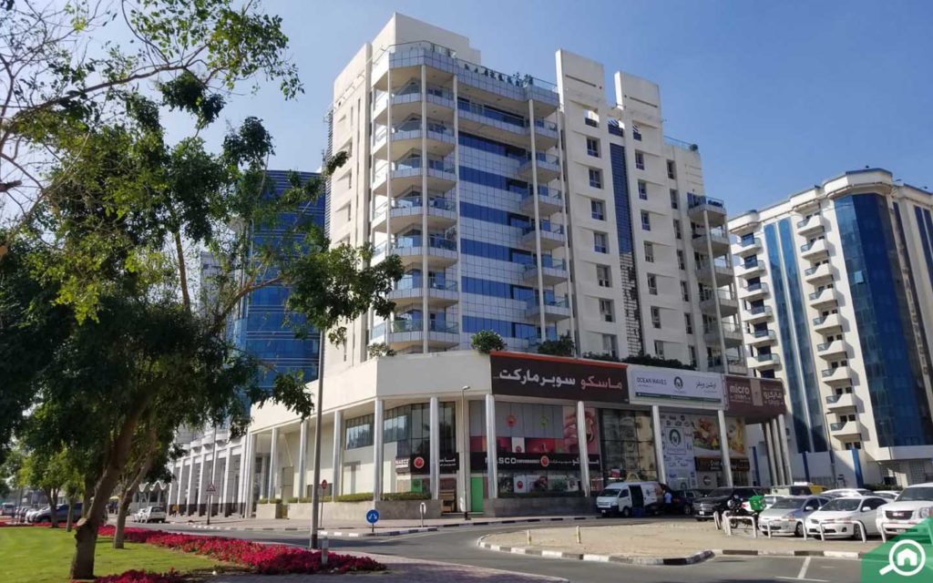 Port Saeed Building Guide | Bayut