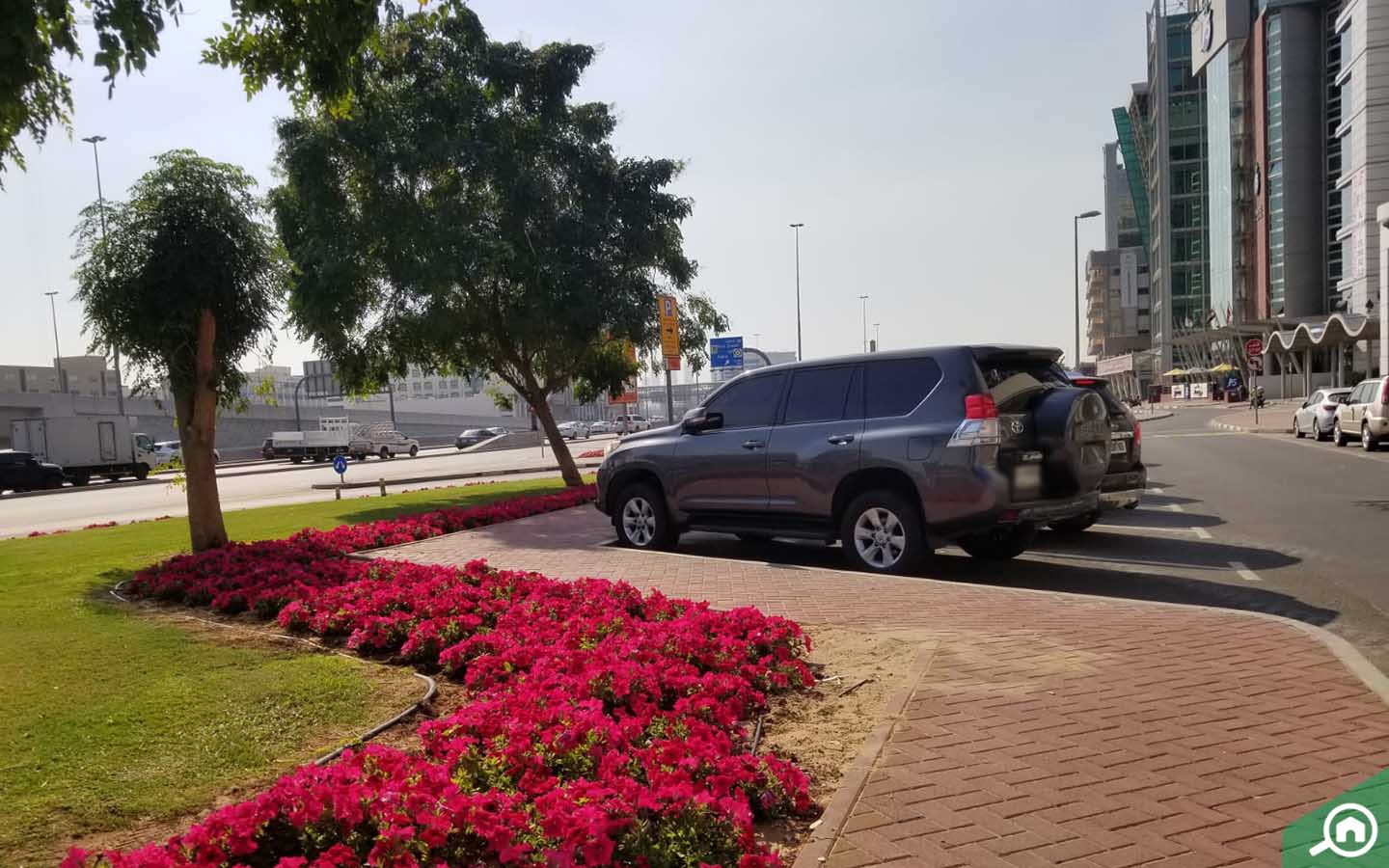 Port Saeed Building Guide | Bayut