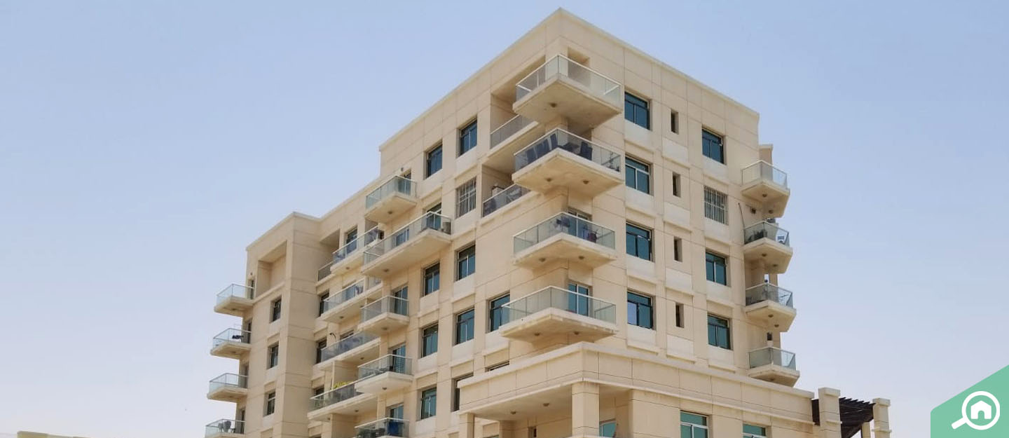 Shams Building Guide | Bayut