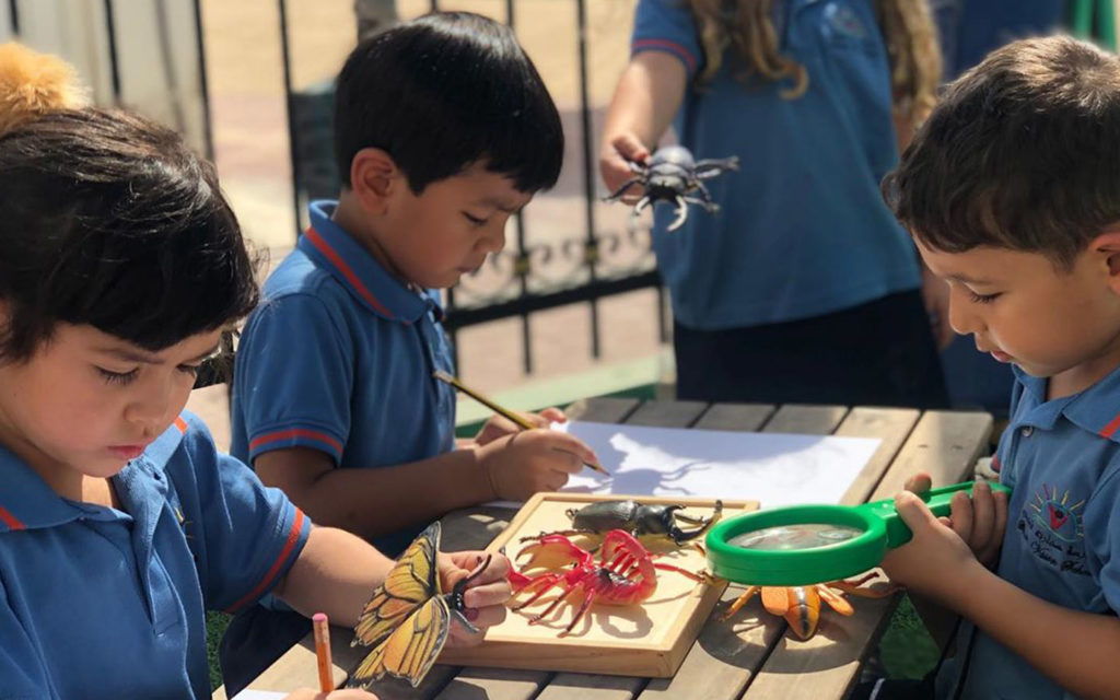 Smart Vision School Guide | Bayut