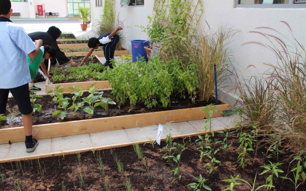 Al Ain English Speaking School Guide | Bayut